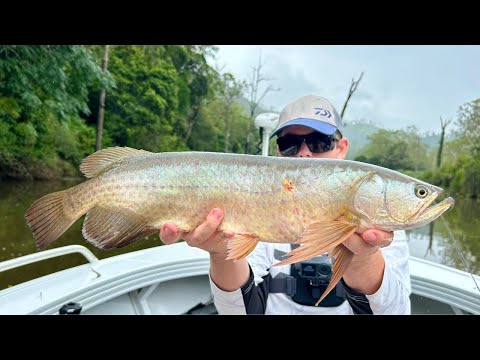 Catching Prehistoric Fish - Borumba Dam