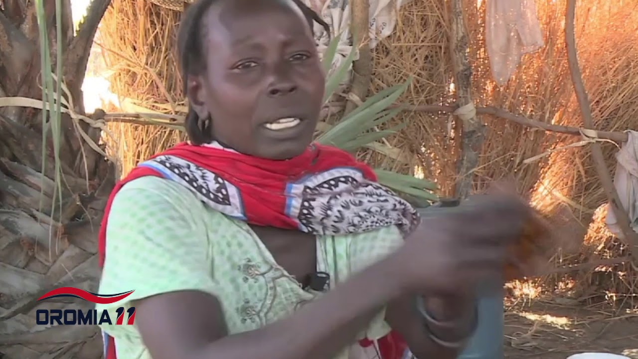 Oromia11: Oduu 2/24/2021