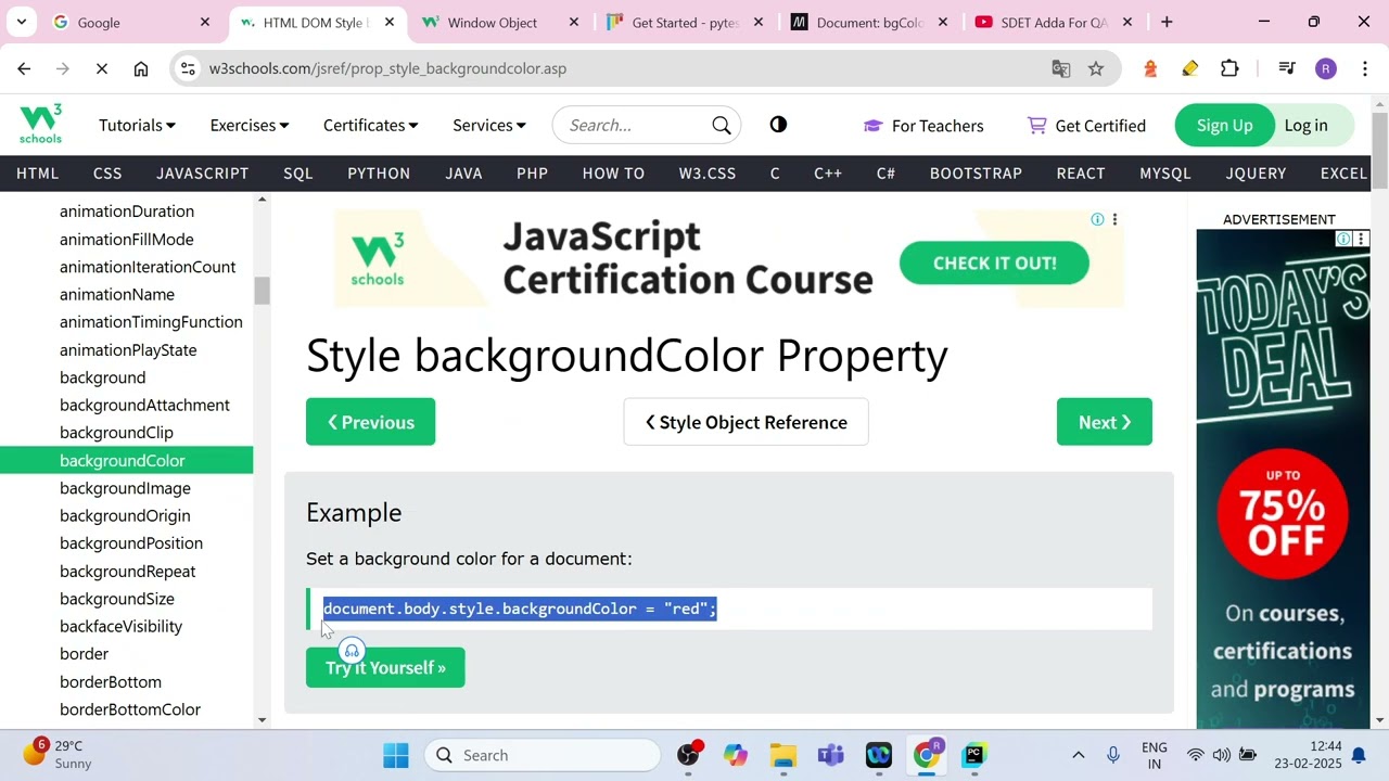 How to Execute JavaScript in Selenium with Python | Pytest Tutorial