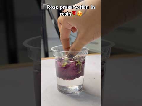 Rose preservation in resin🌹😱😍#subscribe #roseflower #preservation#flowerpreservation#resinflowers