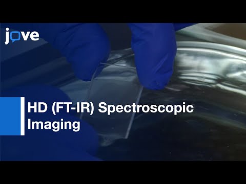 HD (FT-IR) Spectroscopic Imaging of Human Tissue Sections | Protocol Preview