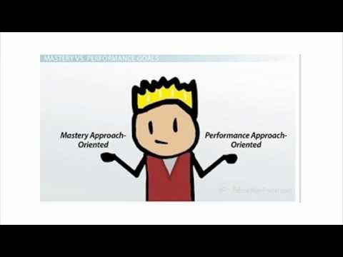 Goal Orientation Theory