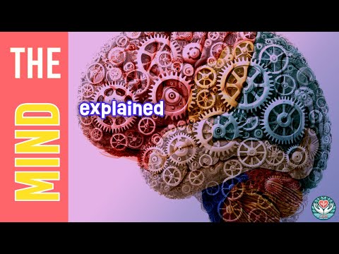 The mind explained - Season 1, Episode 7