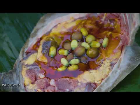Attacked By Parasitic Leeches - Cross The Swamp And Return To The Pets - Survival Skills - New Life