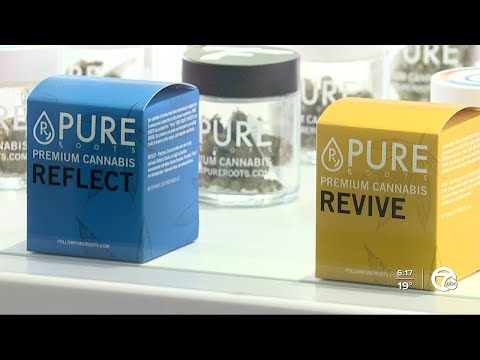 Michigan's marijuana dispensary goes high-tech to provide bespoke customer experience