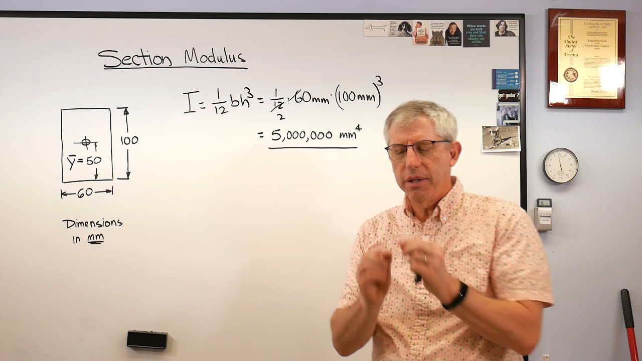 Section Modulus - Brain Waves