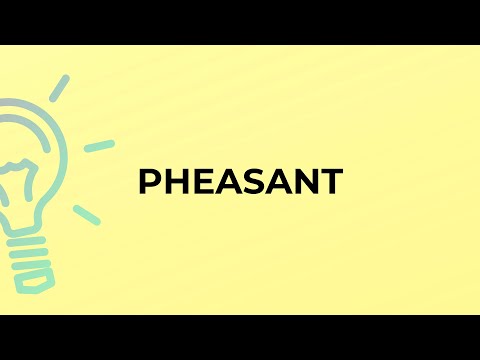 What is the meaning of the word PHEASANT?