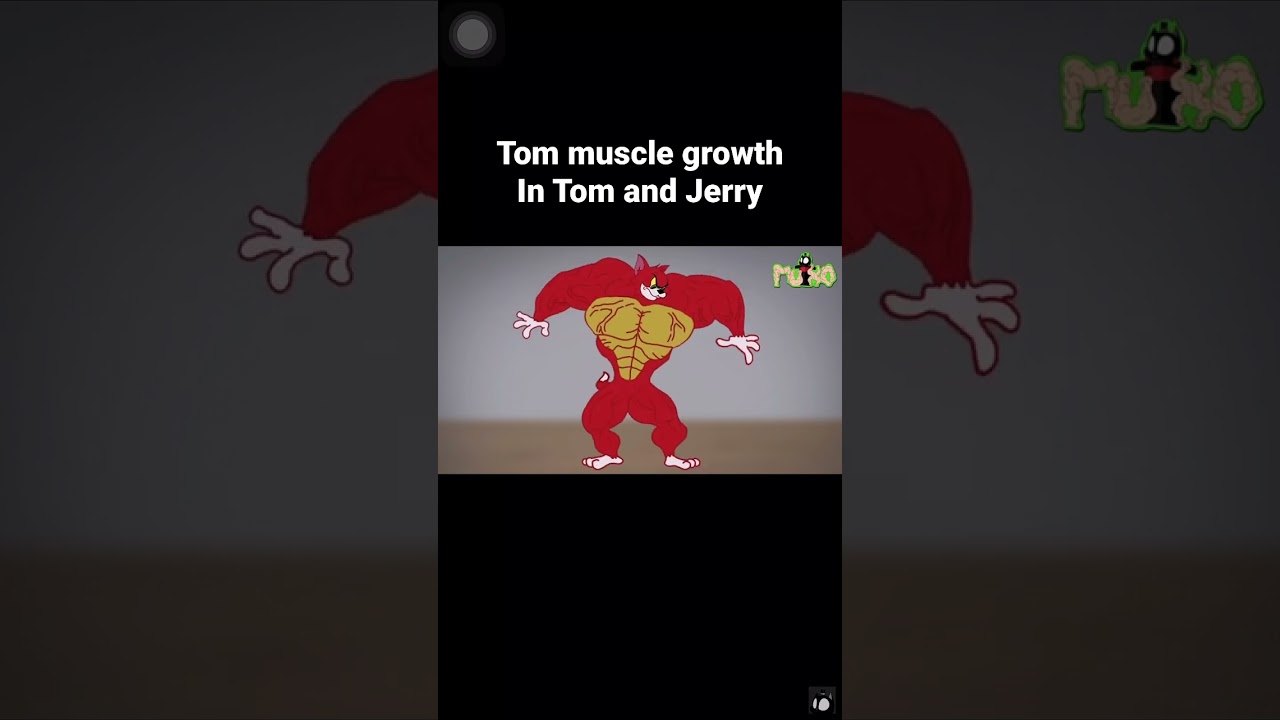 Tom muscle growth in Tom & Jerry [Fan-Animation] #muscle #musclegrowth #tomandjerry #shortvideo
