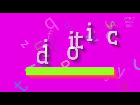 How to say "idiotic"! (High Quality Voices)