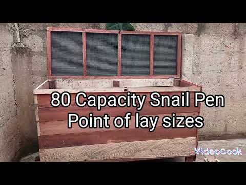 How I constructed my 80 capacity snail pen (Point of lay size) #nature #farming #snail #farm #agri