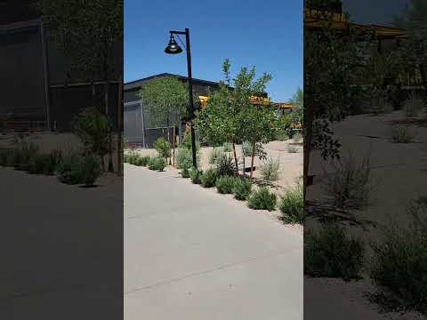 hanging out In Peoria, AZ