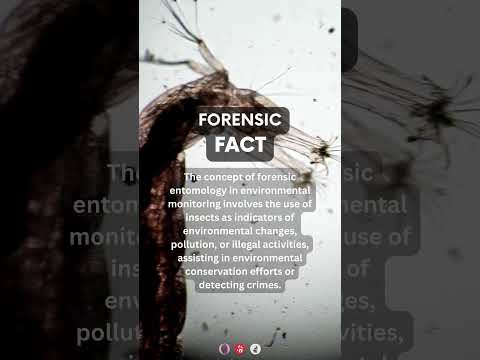 Forensic entomology in environmental monitoring | #forensicscience #forensics #facts