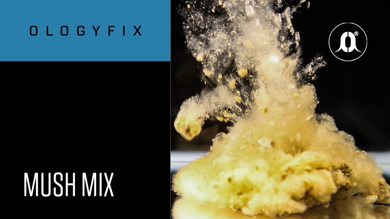 How to make a mush mix