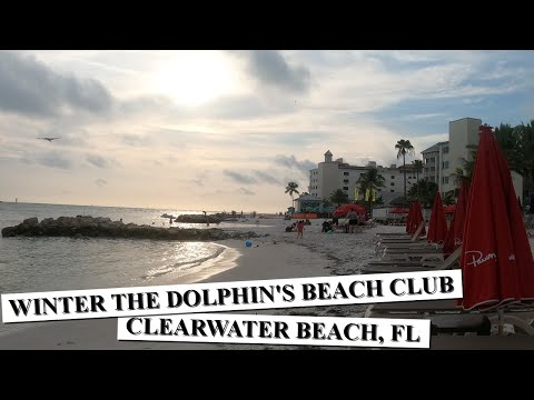 Winter the Dolphin Beach Club Hotel: A Delightful Stay on Clearwater Beach
