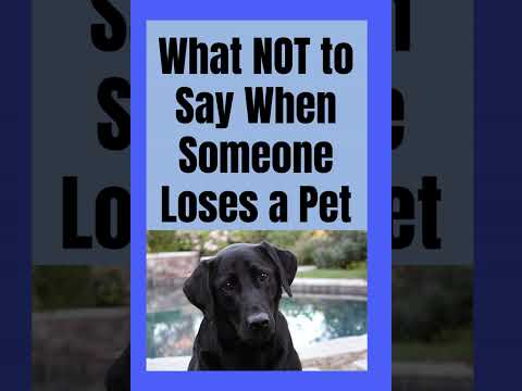 What NOT to Say When Someone Loses a Pet #petloss #petgrief #dogloss #catloss #petlossgrief