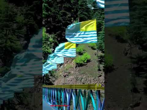 Pakistan And Kashmir Flags|viral Video|