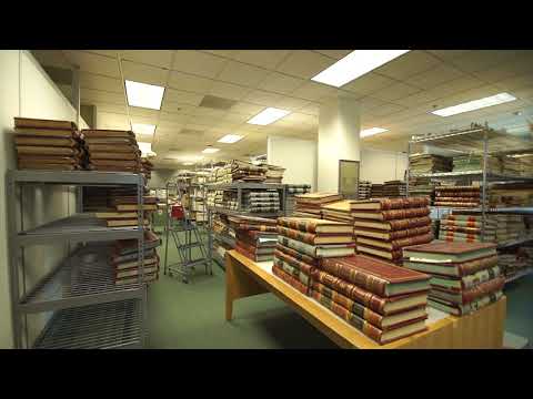 Archivist at work