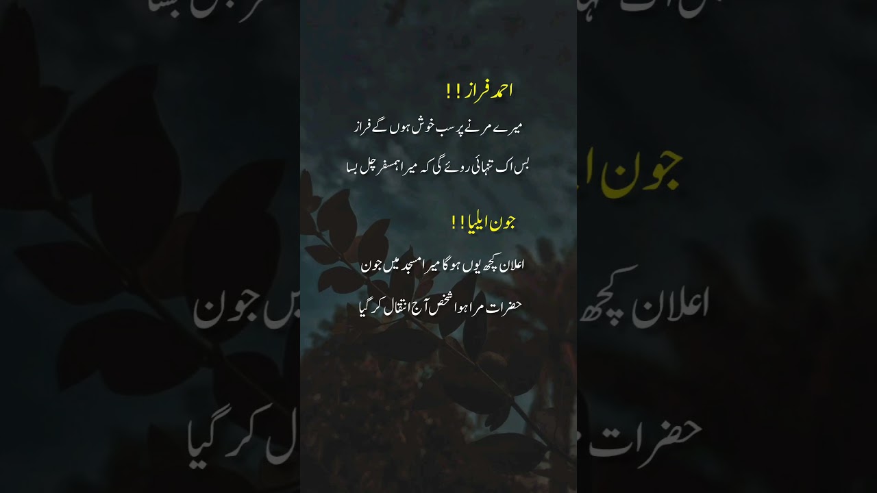 poetry urdu ♥️🥀 #shayari #urdu #poetry #love #poetryurdu #