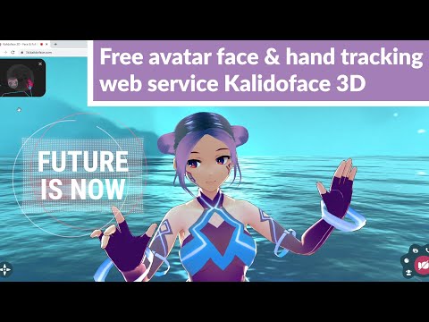 Free avatar face & hand tracking web service Kalidoface3D