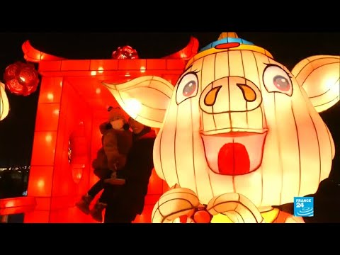 Chinese New Year: celebrations usher in year of the pig