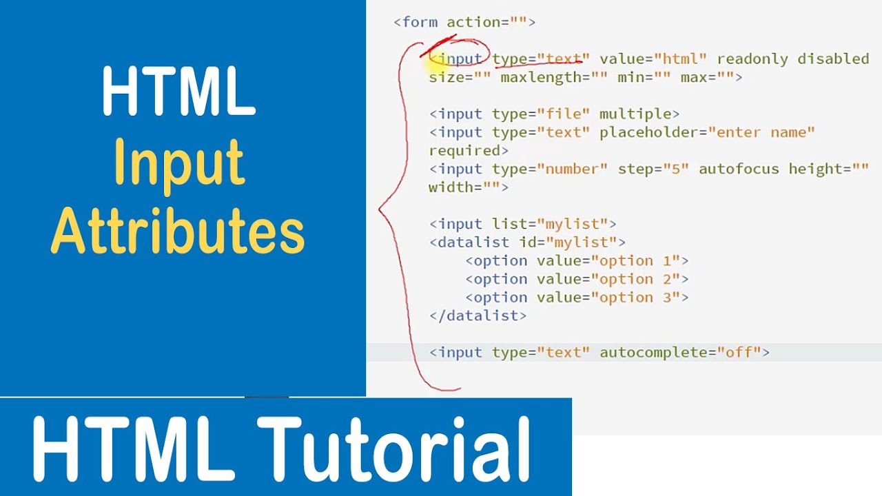 #27 Input Attributes in HTML | HTML Tutorial