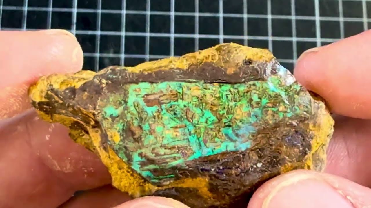 Unusual Opalized Wood from The Comet!