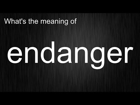 What's the meaning of "endanger", How to pronounce endanger?
