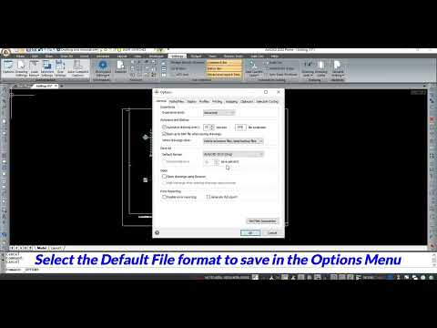 default file format