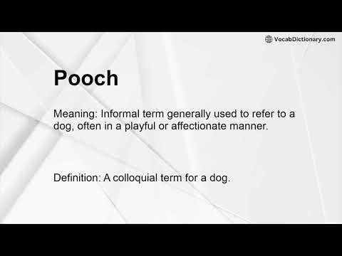 Pooch Meaning