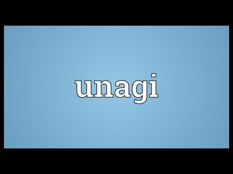 Unagi Meaning