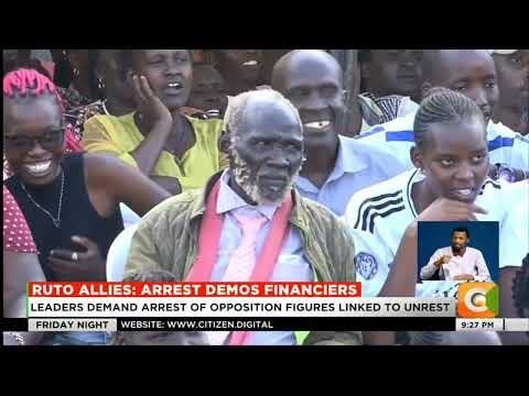 President William Ruto allies demand for the arrest of demos financiers