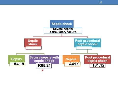 2023 ICD 10 CM coding guidelines for sepsis