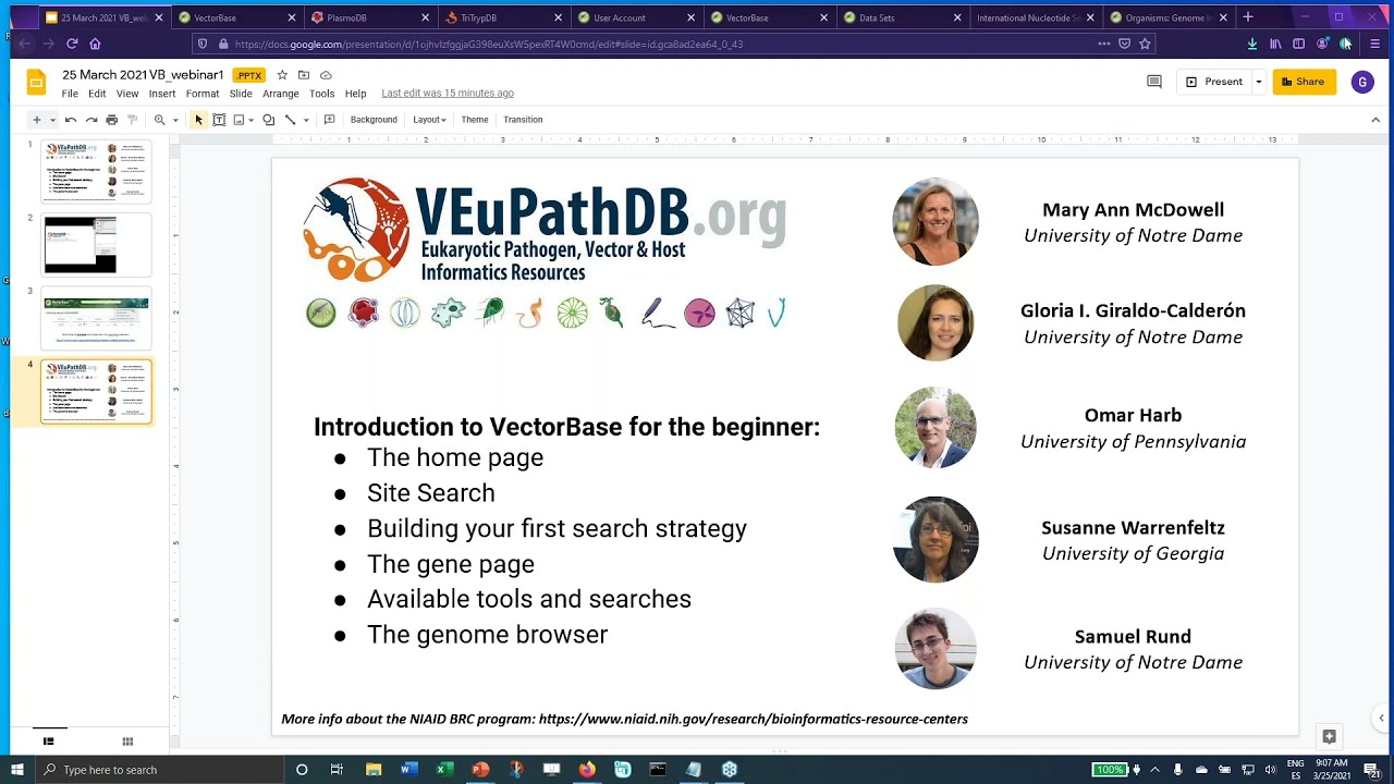 Introduction to VectorBase for the beginner