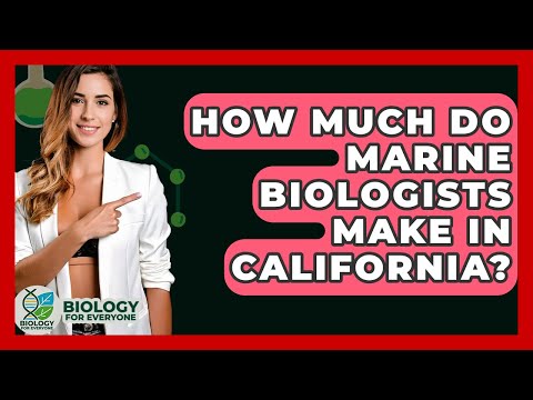 How Much Do Marine Biologists Make In California? - Biology For Everyone