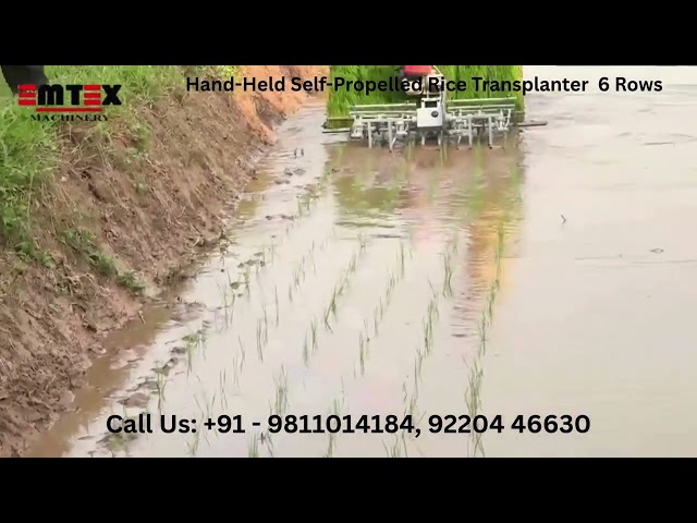 Rice Transplanter - Rice transplanting machine Trader - Retailer from ...