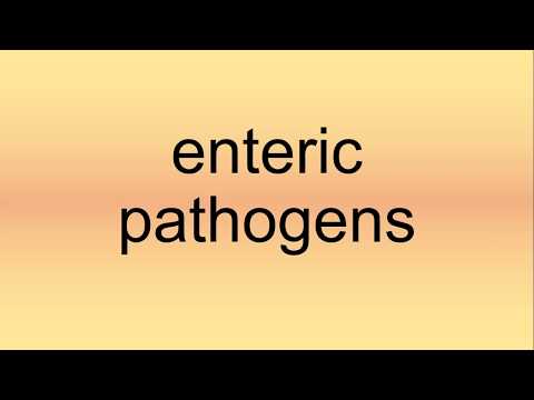 Enteric Pathogens Pronunciation | How to Say | How to Pronounce
