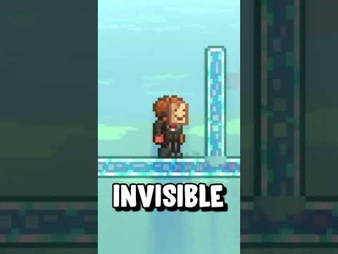 Did You Know About Terraria's SECRET Invisibility Block?