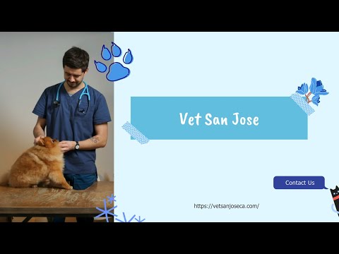 Vet San Jose
