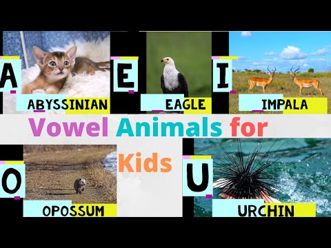 Vowel Animals (A E I O U) | Learn Animal Names | Learn how to pronounce the Animal Name for Children