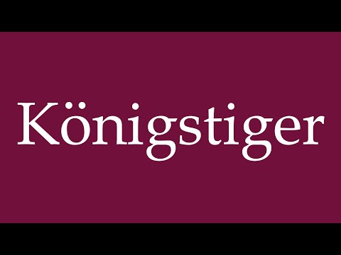 How to Pronounce ''Königstiger'' (Bengal Tiger) Correctly in German