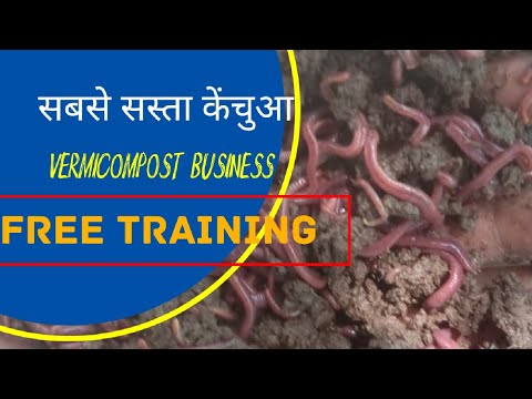 Live Earthworm - Australian Breed Composting Earthworm -2000 worm per ...