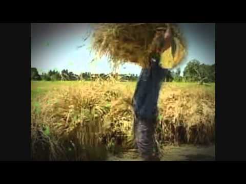 SL Agritech Corporation AVP