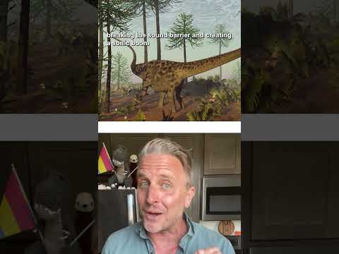 Could dinosaurs have created sonic booms?