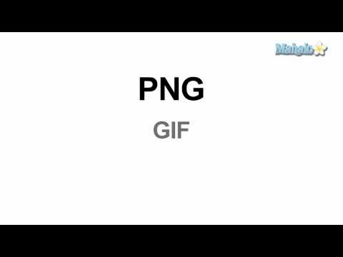 Photoshop Tutorial - PNG vs GIF Quiz Question