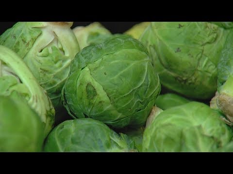Report shows certain kind of vegetables may help reduce cancer risk
