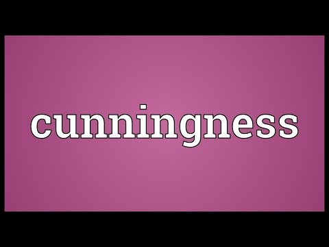 Cunningness Meaning