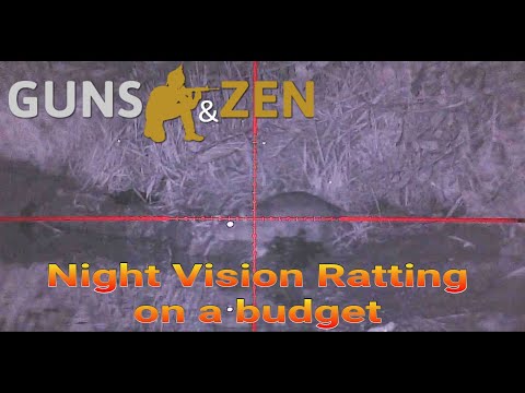 Night Vision Ratting on a budget