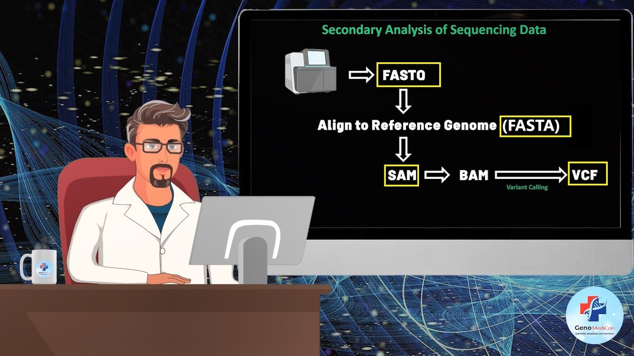Essential Genomic File Formats for Beginners: FASTA, FASTQ, SAM/BAM, and VCF Explained