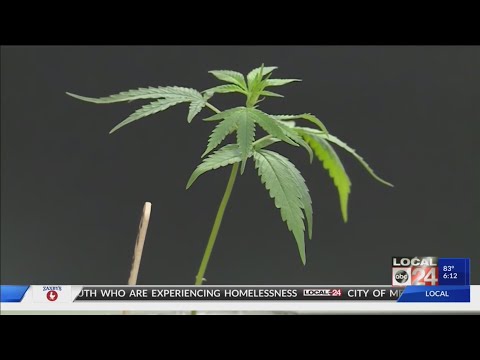 First medical marijuana dispensary in NE Arkansas could open by end of year