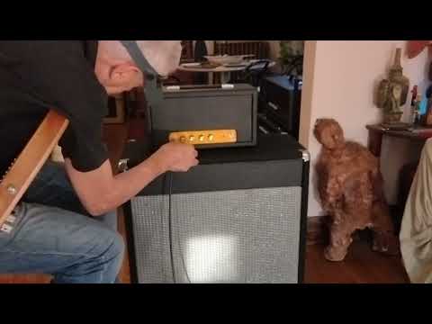 Spitfire Clone Hammond AO-35 Reverb amp Conversion | Reverb